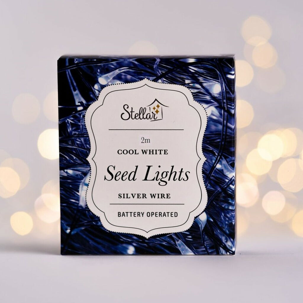 2m Silver Cool White 20 LED Seed Lights – Homestead Store